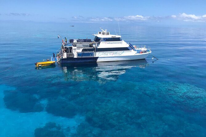 All Inclusive Great Barrier Reef Cruise w optional Scuba Diving - Discover the Great Barrier Reef: An Honest Review of the All-Inclusive Cairns Cruise