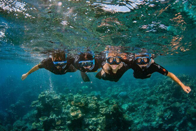 All Inclusive Great Barrier Reef Cruise w optional Scuba Diving - The Food and Drink: Fuel for the Day’s Adventure