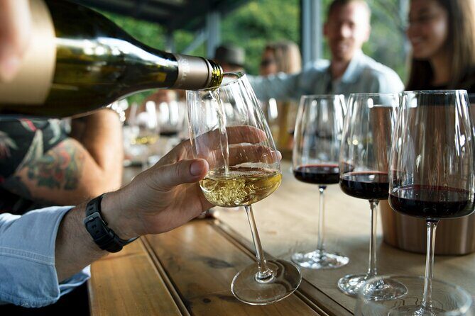 All Inclusive Hunter Valley Wine Tour with Lunch from Sydney - Who Will Love This Tour?
