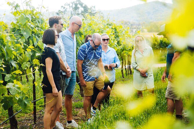 All Inclusive Hunter Valley Wine Tour with Lunch from Sydney - FAQ