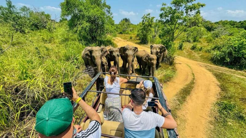 All Inclusive Hurulu Eco Park 3 Hour Elephant Safari Tour - Who Will Love This Tour?
