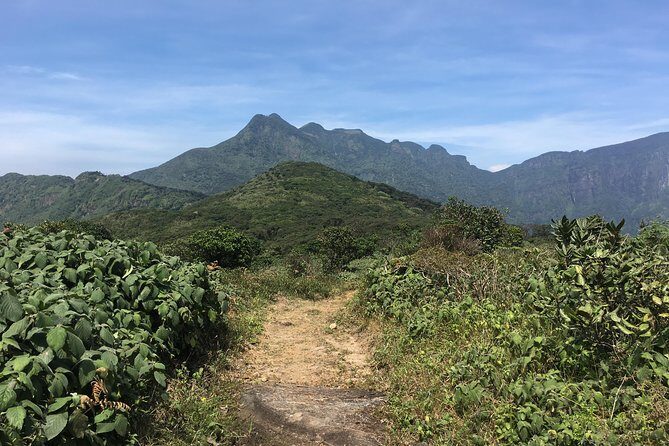 All Inclusive Knuckles Day Track With Accommodation - What You Can Expect from the All-Inclusive Knuckles Trek