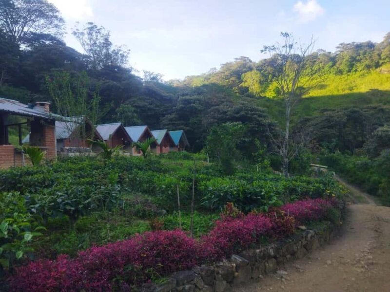 All-Inclusive Knuckles Mountain Range Full-Day Hiking Tour - Authentic Experiences and Real Traveler Insights