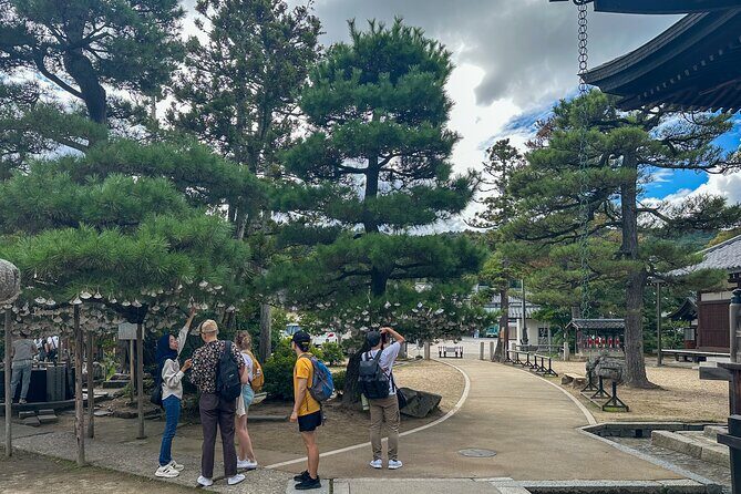 All-Inclusive Kyoto Day Tour: Amanohashidate, Miyama or Ohara - Key Points