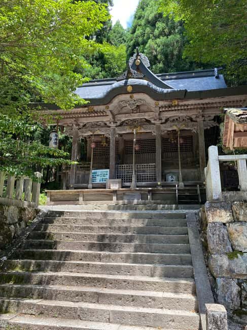 All-Inclusive Kyoto Day Tour: Mountains or Seaside Escape - Transportation and Comfort