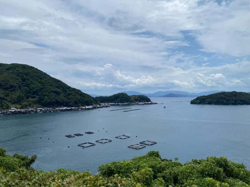 All-Inclusive Kyoto Day Tour: Mountains or Seaside Escape - Who Should Consider This Tour?