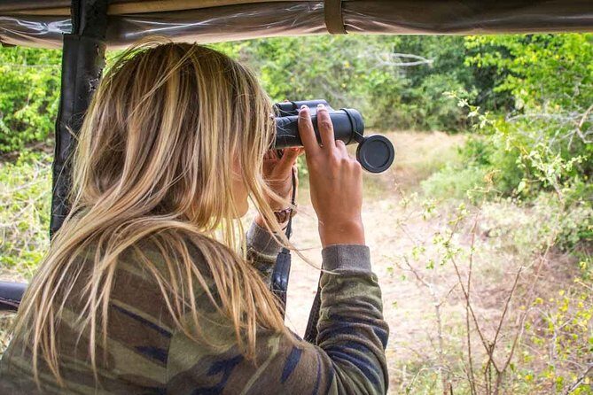 All Inclusive Leopard Nest Luxury Glamping experience in Yala - The Reviews: A Mix of Praise and Caution