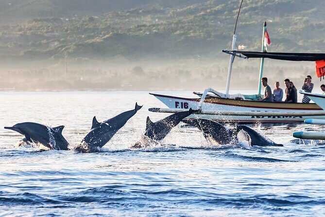 All inclusive Lovina Dolphins Sunrise tour, Waterfall & Temple - Frequently Asked Questions