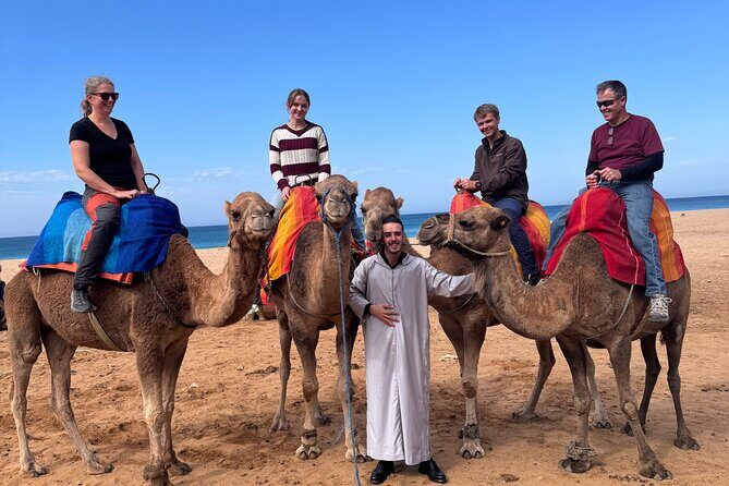 All-Inclusive Luxury Day Trip from Tarifa to Tangier - Who Will Love This Tour?