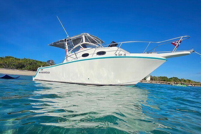 All-Inclusive: Mako 29ft Boat Tour to Icacos Palomino & Palominito - Pricing and Value