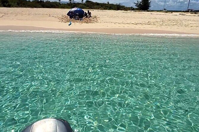 All-Inclusive: Mako 29ft Boat Tour to Icacos Palomino & Palominito - Who Will Love This Tour?