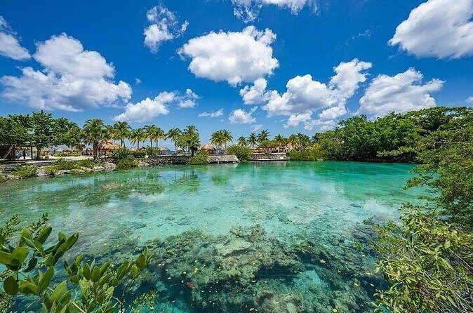 All Inclusive Mexican Tour with Buffet and Tequila Tasting - The Sum Up