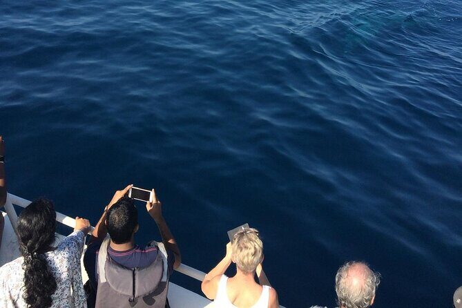 All Inclusive Mirissa Morning Whale Watching Boat Tour with Geeth - Key Points