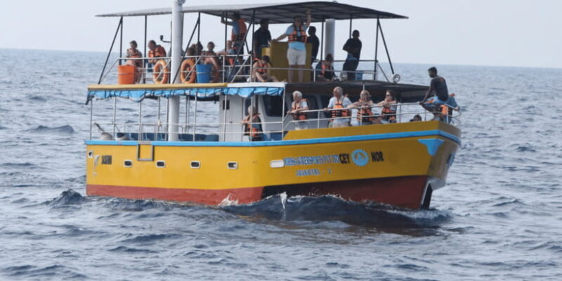 All Inclusive Mirissa Whale and Dolphin Watching Boat Ride - Key Points