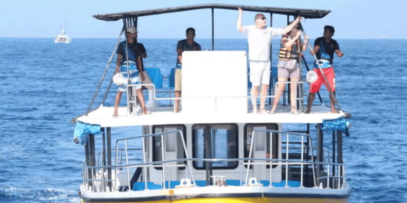 All Inclusive Mirissa Whale and Dolphin Watching Boat Ride - Who Should Book This Tour?