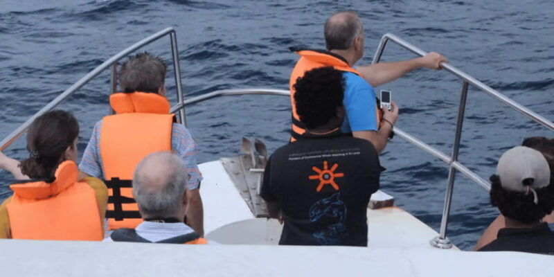 All Inclusive Mirissa Whale and Dolphin Watching Boat Ride - Final Thoughts: Is it Worth It?