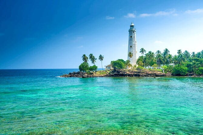 All Inclusive Mirissa Whale and Dolphin Watching Boat Ride - Who Will Love This Tour?