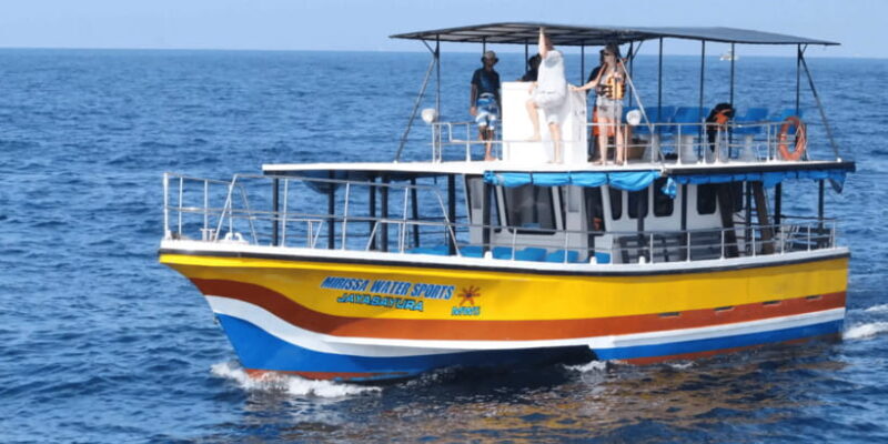 All Inclusive Mirissa Whale & Dolphin Watching + Snorkeling - Setting the Scene: What to Expect from the Experience