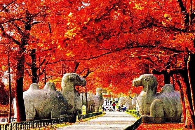 All Inclusive Nanjing City Private Day Tour with Tailor-Made Highlights - Key Points