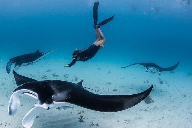 All Inclusive Nusa Penida Snorkeling Tour with Visit West Island - Discovering the Highlights of Nusa Penida