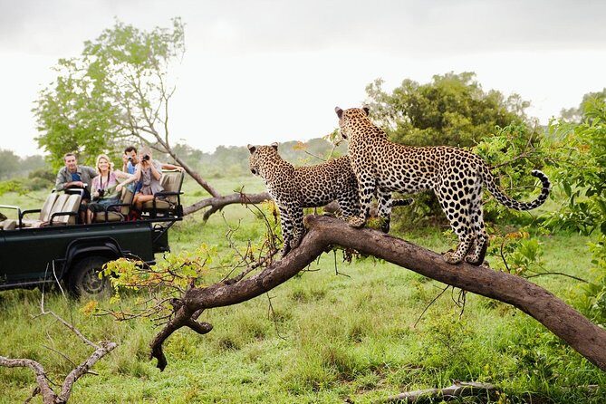 All Inclusive Overnight Tented Camping in Yala From Kandy - Value and Overall Cost