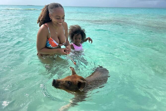 All Inclusive Pig Encounter, Snorkeling, Turtles, Lunch & Beach - FAQ: Your Practical Questions Answered
