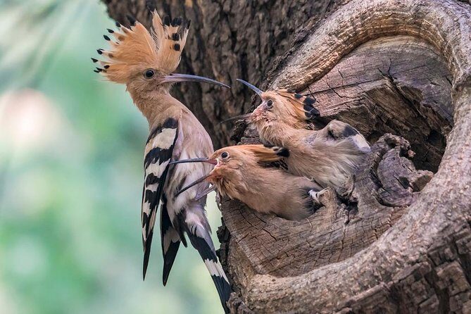 All Inclusive Private City Tour to Temple of Heaven, Tian'anmen Square Forbidden City and Summer Palace - The Value of the Cost