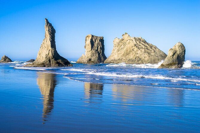 All Inclusive Private Coastal Road Trip from Washington to Oregon - Exploring the Pacific Northwest Coast: A Complete Review of the All-Inclusive Private Road Trip