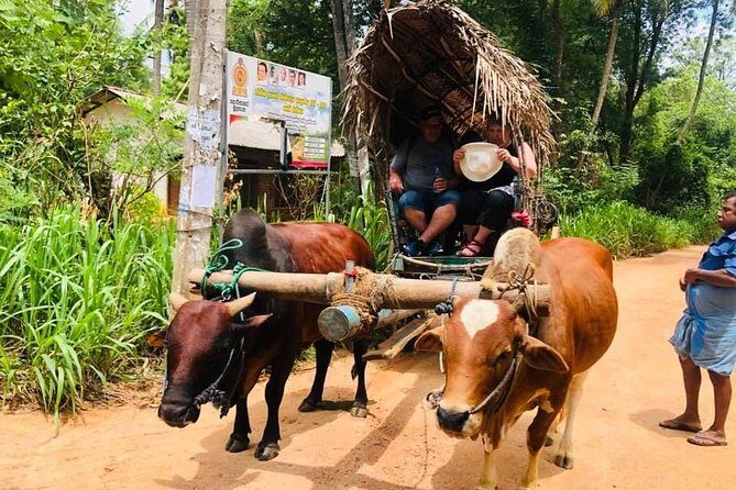 All inclusive Private Day tour Sigiriya, Dambulla & traditional village tour - Authentic Experiences and Genuine Value