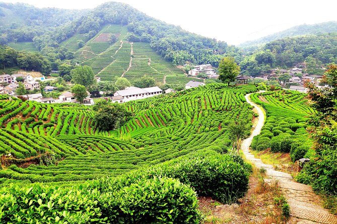 All-Inclusive Private Day Tour to Hangzhou by Bullet Train - The Sum Up: Is This Tour Right for You?