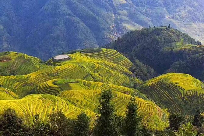 All-inclusive Private Day Tour to Longji Rice Terraces and Village - An overview of the tour experience