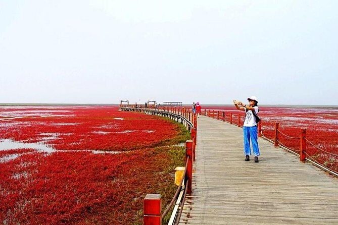 All-Inclusive Private Day Tour to Red Beach in Panjin City - Introducing the All-Inclusive Private Day Tour to Red Beach in Panjin City