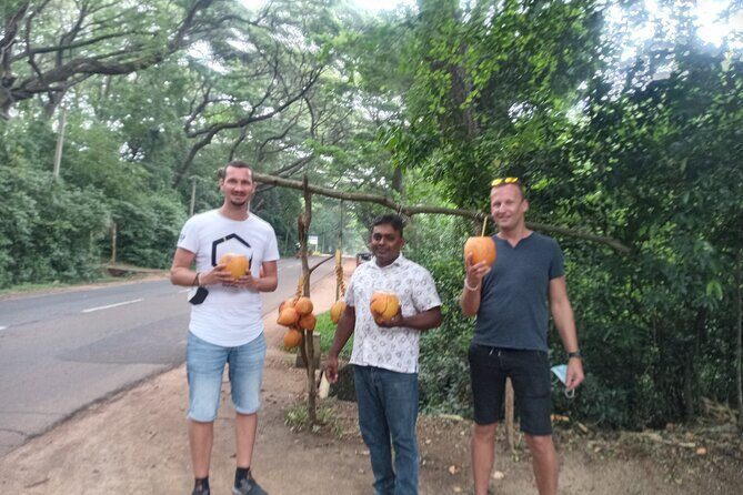 All inclusive Private day trip Sigiriya and Dambulla caves with more - Authenticity and Real-World Feedback