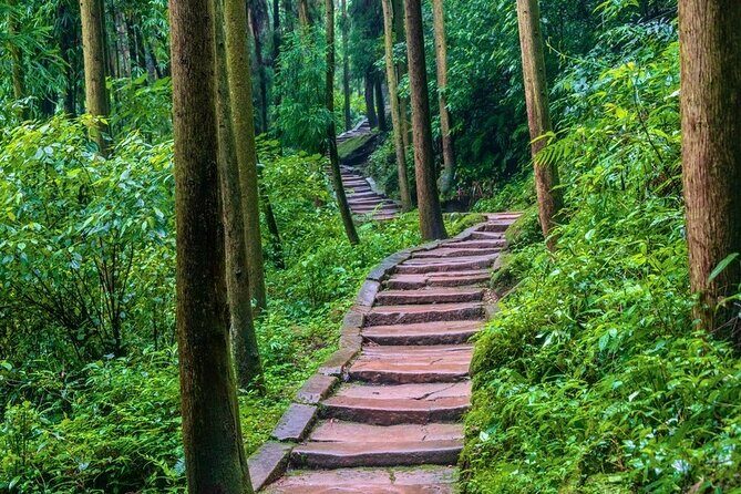 All-Inclusive Private Dujiangyan & Mount Qingcheng Day Tour - Who’s This Tour Best For?