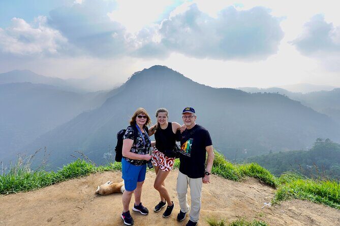 All inclusive private Ella Day Tour with Train Ride & Teafactory - Key Points