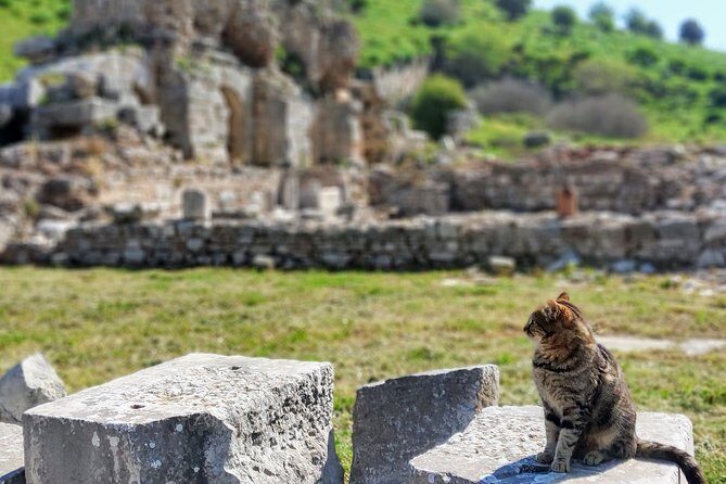 All Inclusive Private Ephesus Day Trip from Istanbul by Plane - A Closer Look at the Itinerary: What Youll Experience