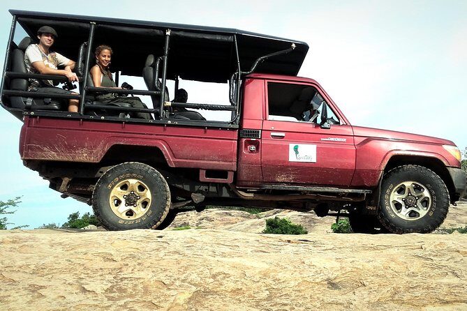 All Inclusive Private Full Day Safari in Yala National Park with Lunch - The Itinerary: What to Expect During Your Day