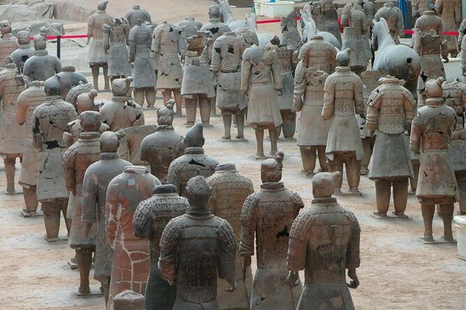 All Inclusive Private Guided Half-day Tour to the Terra Cotta Warriors Museum - A Closer Look at the Itinerary