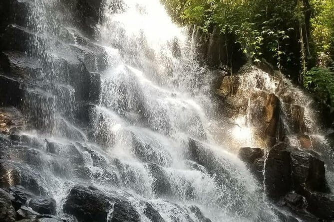 All Inclusive Private Highlight Ubud Waterfalls Tours - A Deep Dive into the Waterfalls Experience