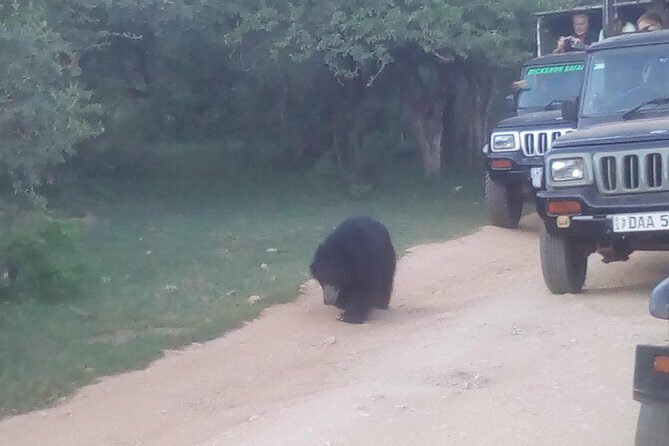 All inclusive Private jeep safari at Yala National park - Key Points