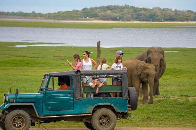 All Inclusive Private Jeep Safari To Minneriya National Park - The Value in Context