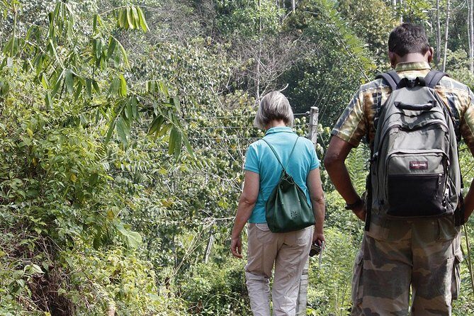 All Inclusive - Private Overnight Rain forest adventure in Sinharaja - Final Thoughts