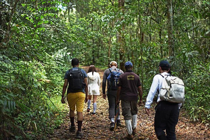 All Inclusive - Private Overnight Rain forest adventure in Sinharaja - FAQs