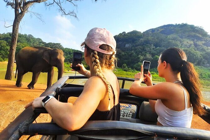 All Inclusive Private Safari at Habarana Park (Pick-up Included) - Key Points
