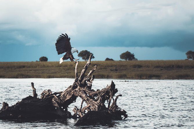 All Inclusive Private Safari at Yala and Bundala National Parks with Lunch - Key Points