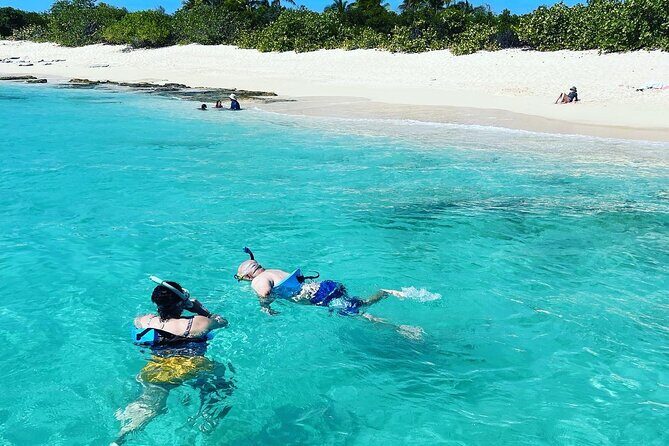 All inclusive Private Tour to Icacos and Palomino Island - The Experience: What to Expect and Why it Matters