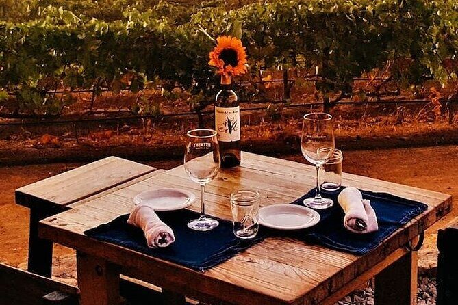 All-Inclusive Private Wine Tour in Baja - All-Inclusive Private Wine Tour in Baja: A Genuine Look at an Exceptional Day Trip