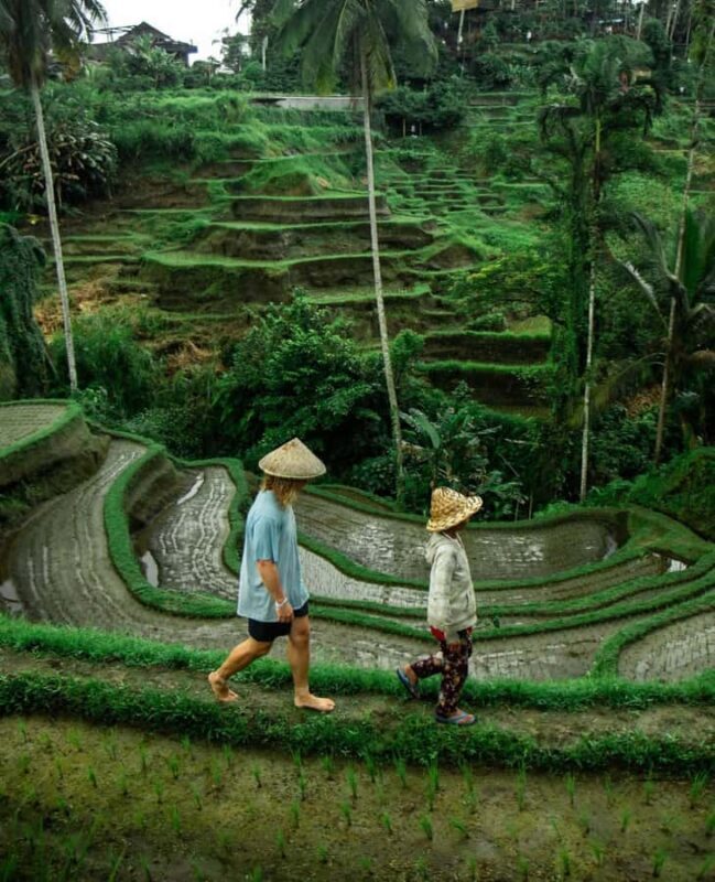 All-Inclusive Rice Terrace, Waterfall, and Temple Day Tour - Authentic Experiences and Cultural Insights