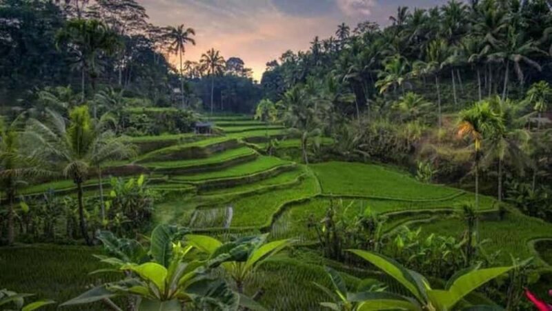 All-Inclusive Rice Terrace, Waterfall, and Temple Day Tour - FAQ