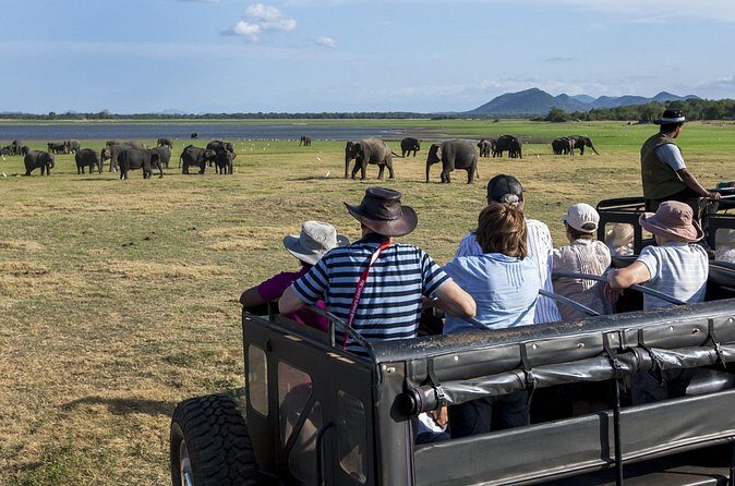 All Inclusive Safari at Minneriya National Park from Polonnaruwa - Frequently Asked Questions